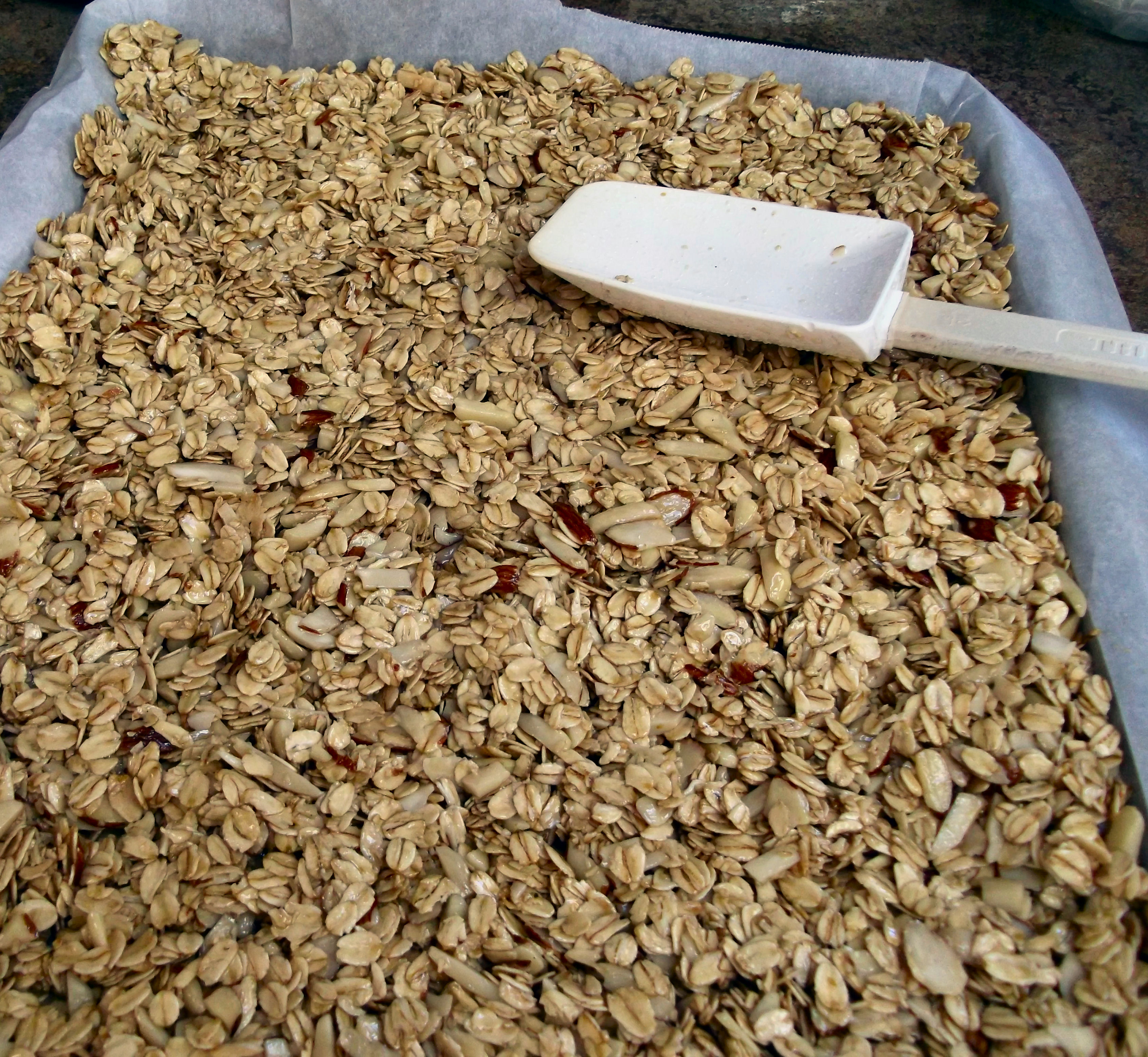 Super Chunky Granola – Diane's Food Blog