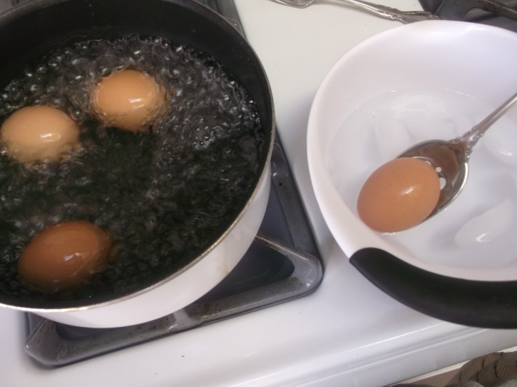 Quick Tip: Hard Boiled Eggs (without that gray-green ring around the ...