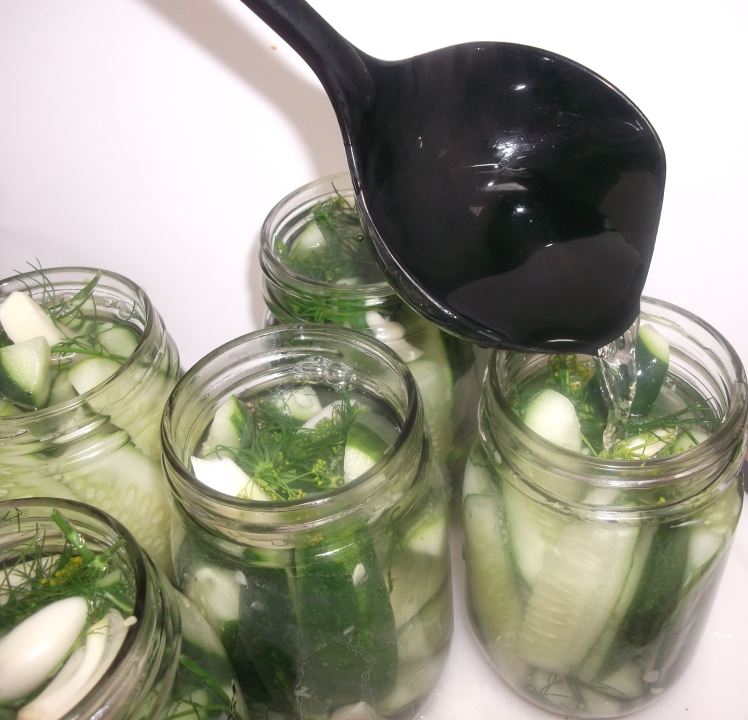 Diane’s Dill Pickles – Diane's Food Blog