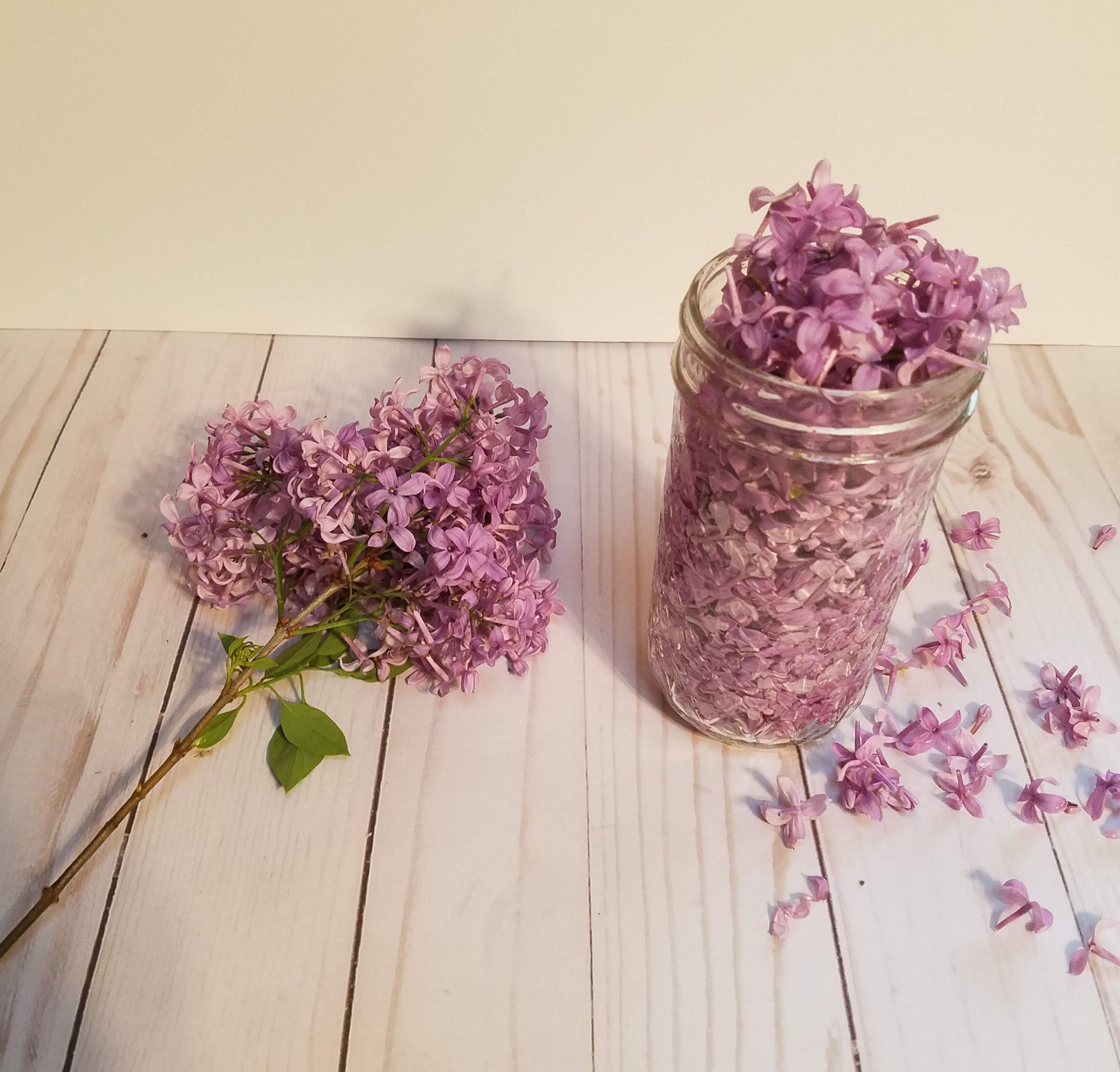 Lilac Liqueur – Diane's Food Blog