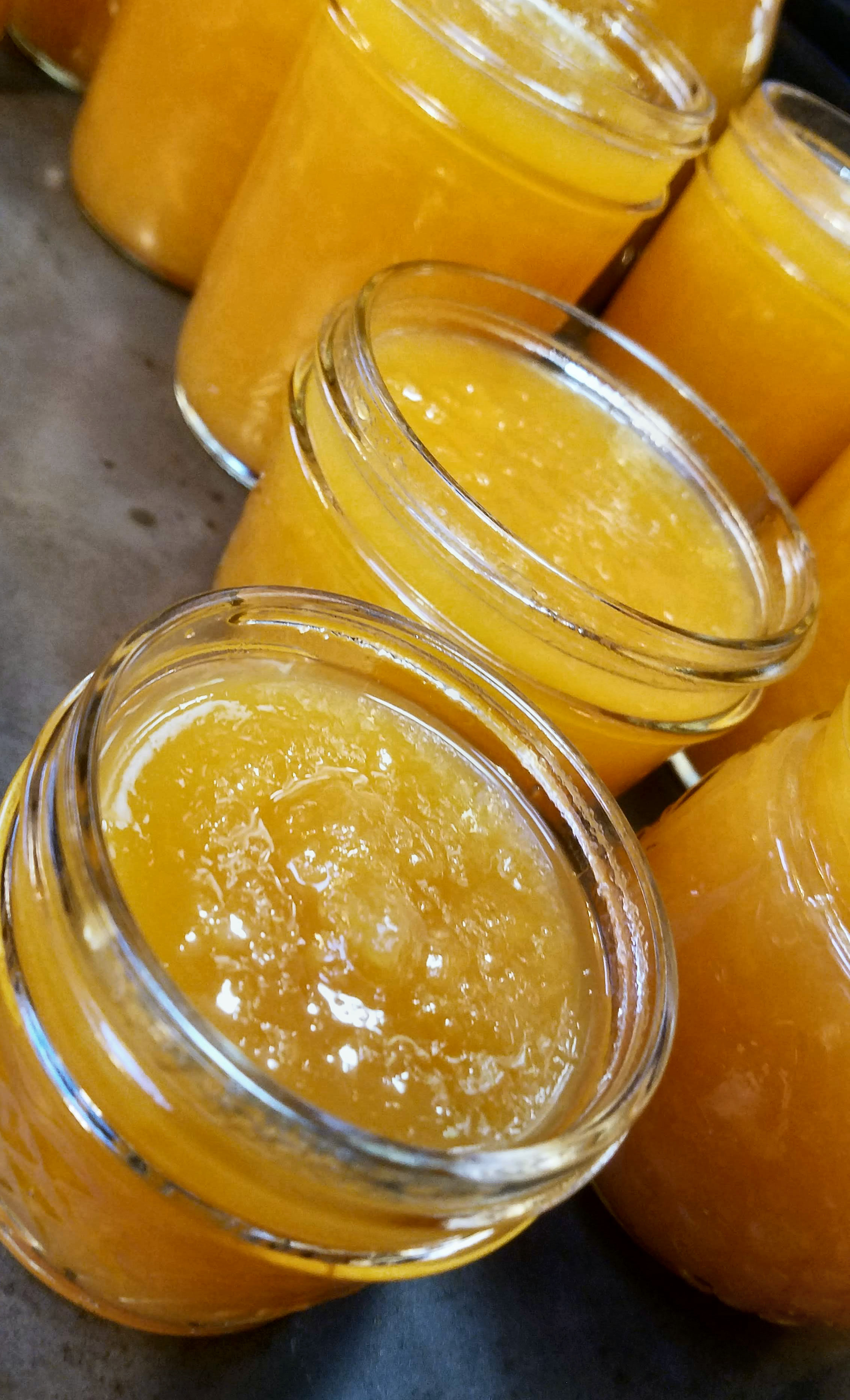 Instant Pot Marmalade – Diane's Food Blog